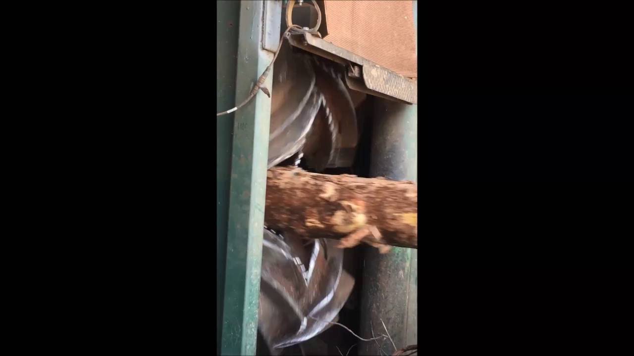 Telco SpaceGuard SGP 30 Diffuse Proximity Light Curtain on Debarker ...