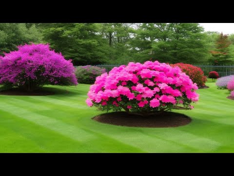 Propagate Azaleas: Layering, Cuttings, and Autumn Seed Pods - YouTube