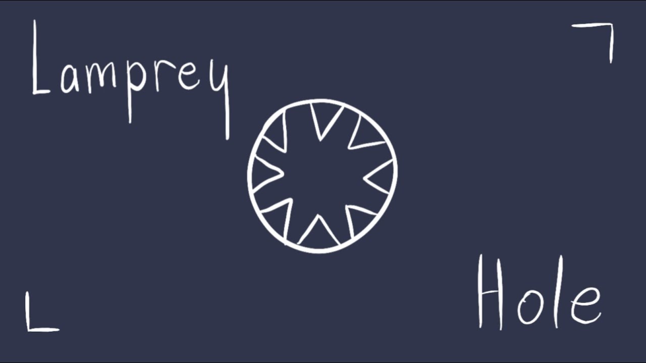 Lamprey Hole - A lil’ animation - YouTube