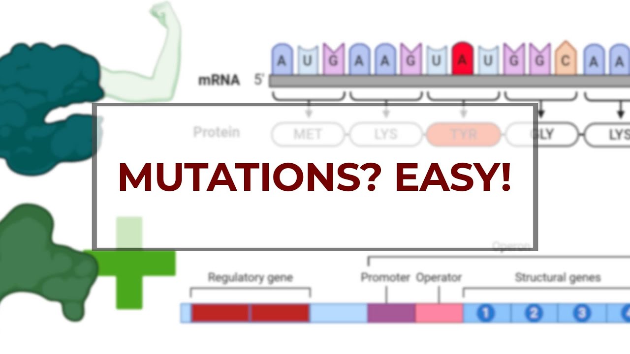 GENE MUTATIONS EXPLAINED | All you need in 5 minutes | Animated - YouTube