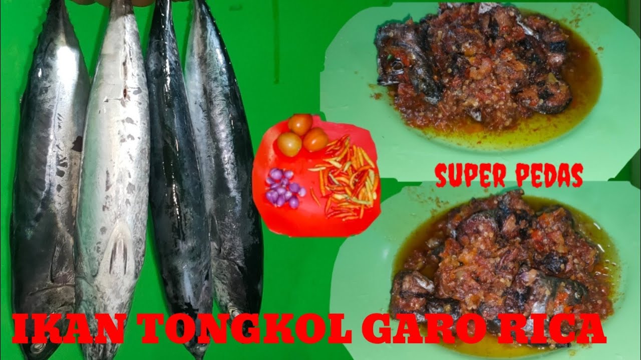 Masak IKAN TONGKOL GARO RICA super pedas - YouTube
