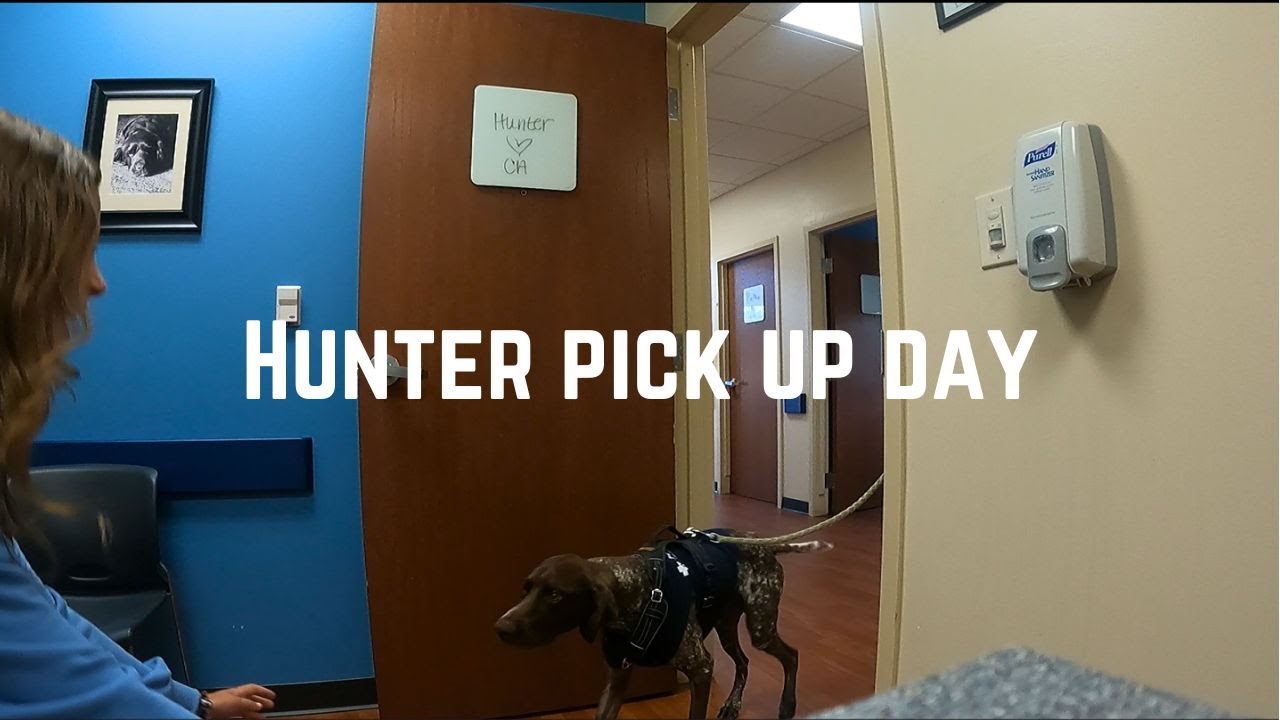Hunter's Journey: Pick Up Day - YouTube