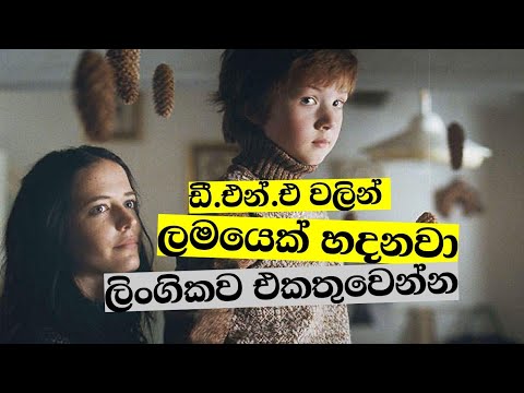 Womb Full Film Review - Sinhala-MOVIES TIME