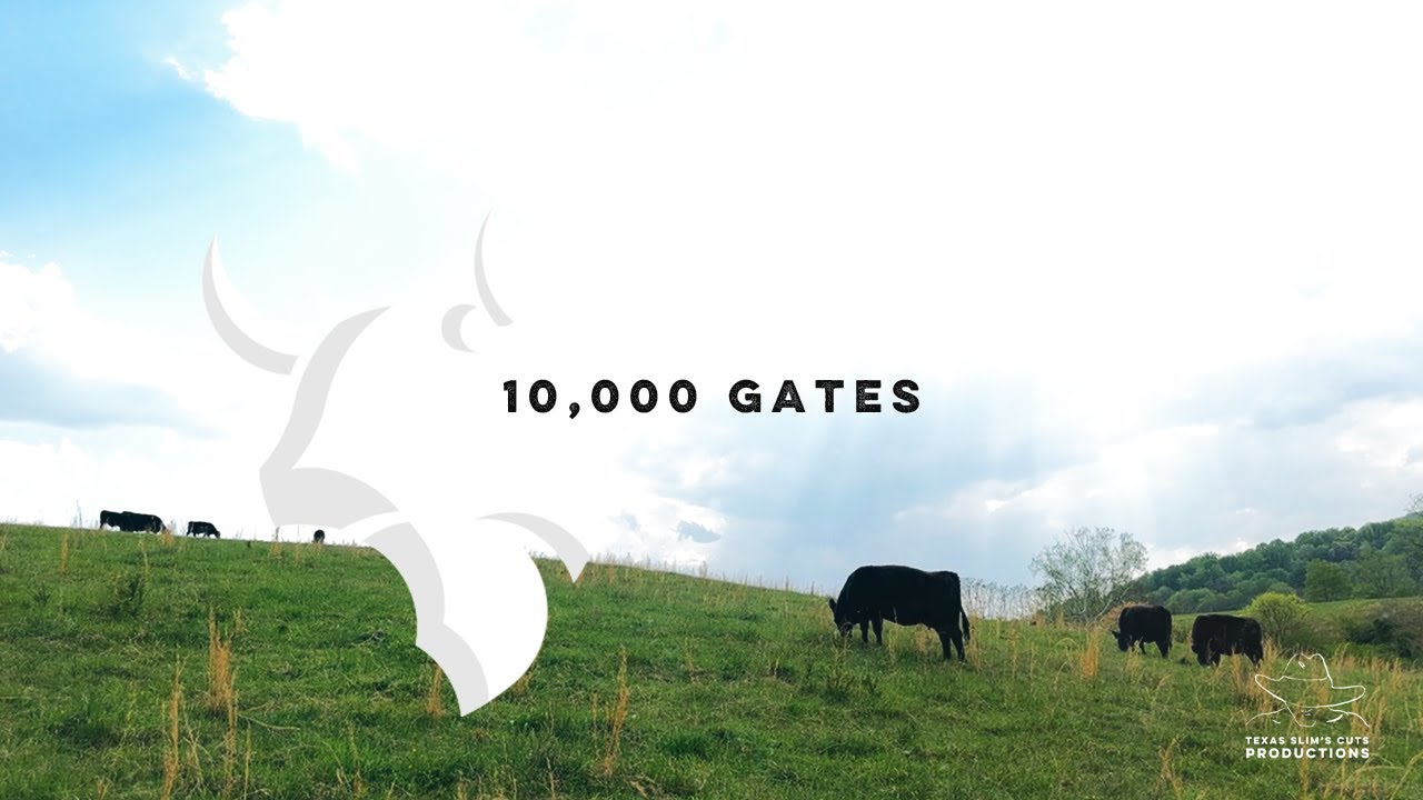 10,000 Gates: Tales of the Modern-Day Cattlemen - YouTube