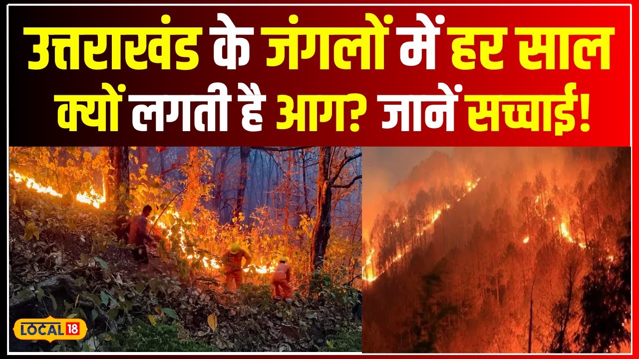 Uttrakhand Forest Fire: Almora में भी फायर सीजन बढ़ा, DFO दीपक सिंह का ...