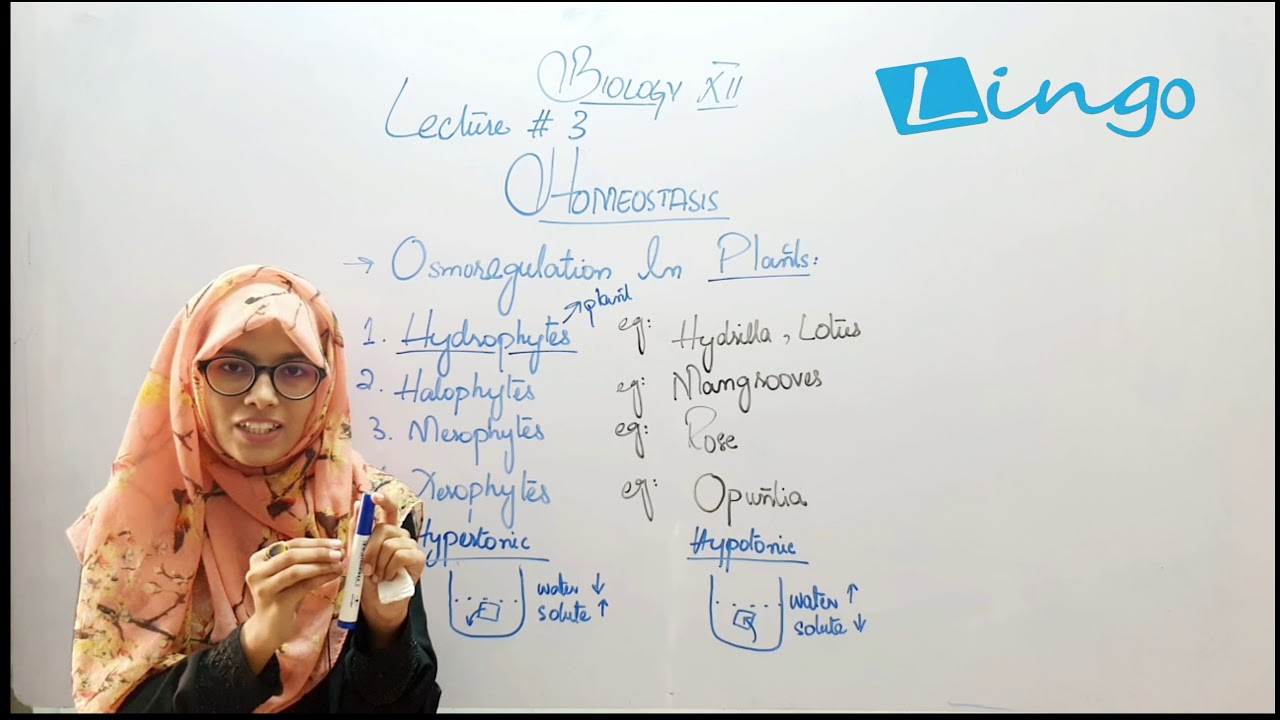 XII Biology Lecture 3 - YouTube