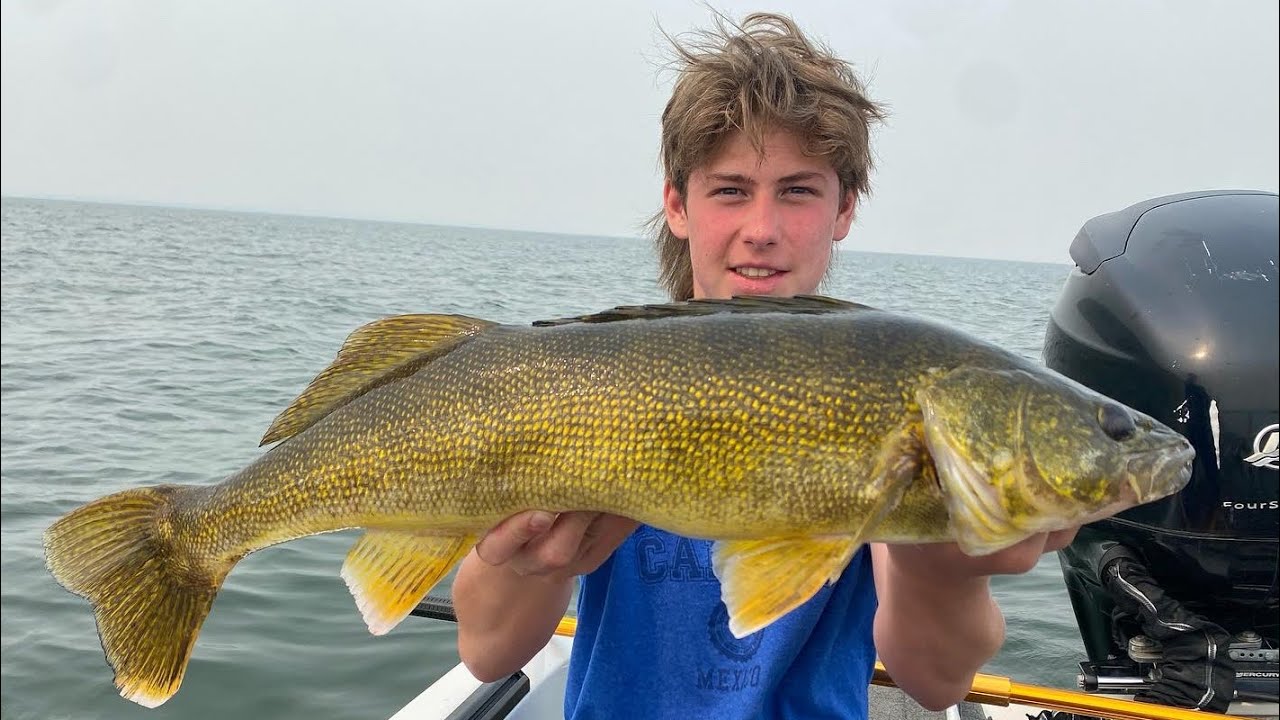Catching monster walleye (all were above 5lbs) - YouTube