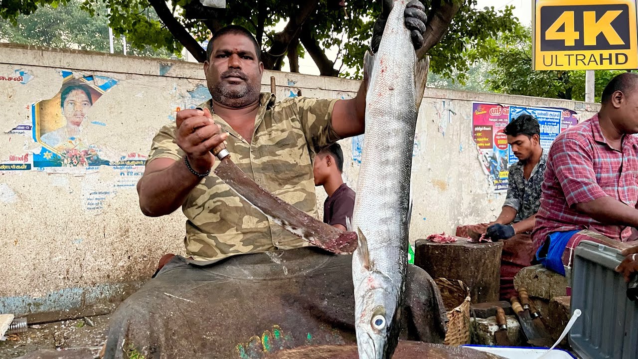 Sila fish cutting video Fishcuttingrs #fishcuttingrs #kasimedu #fish ...
