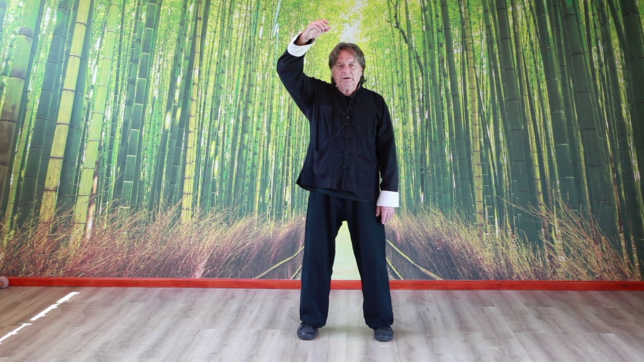 Tai Chi basic posture - YouTube