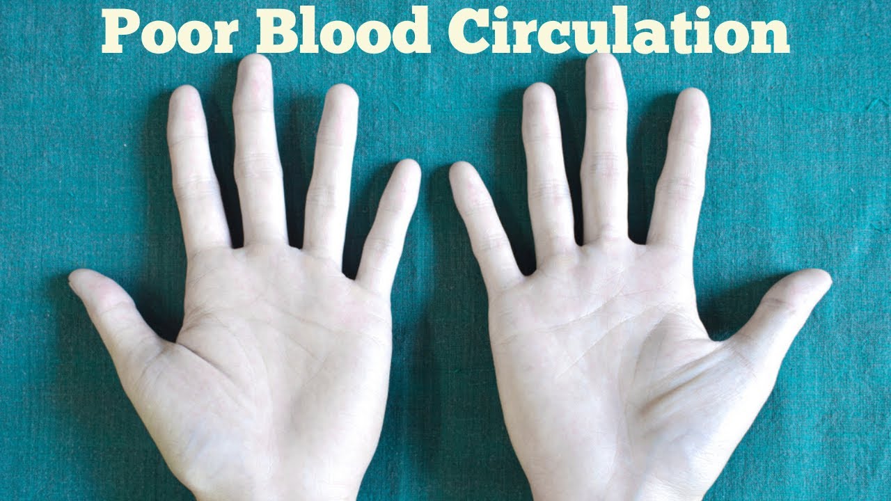 5 Warning Signs Of Poor Blood Circulation In The Body You Need To Know ...