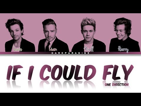 One Direction - If I Could Fly (Color Coded Lyrics)