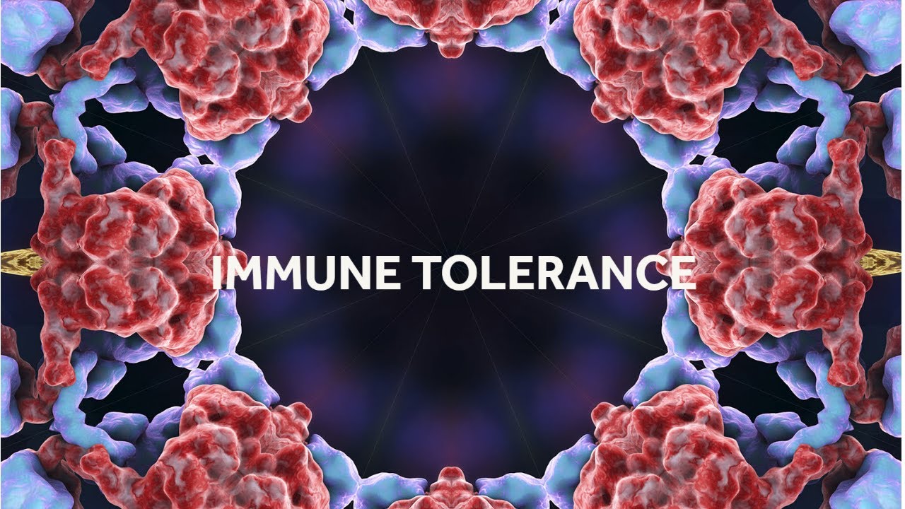 Immune Tolerance Branch Introduction - YouTube
