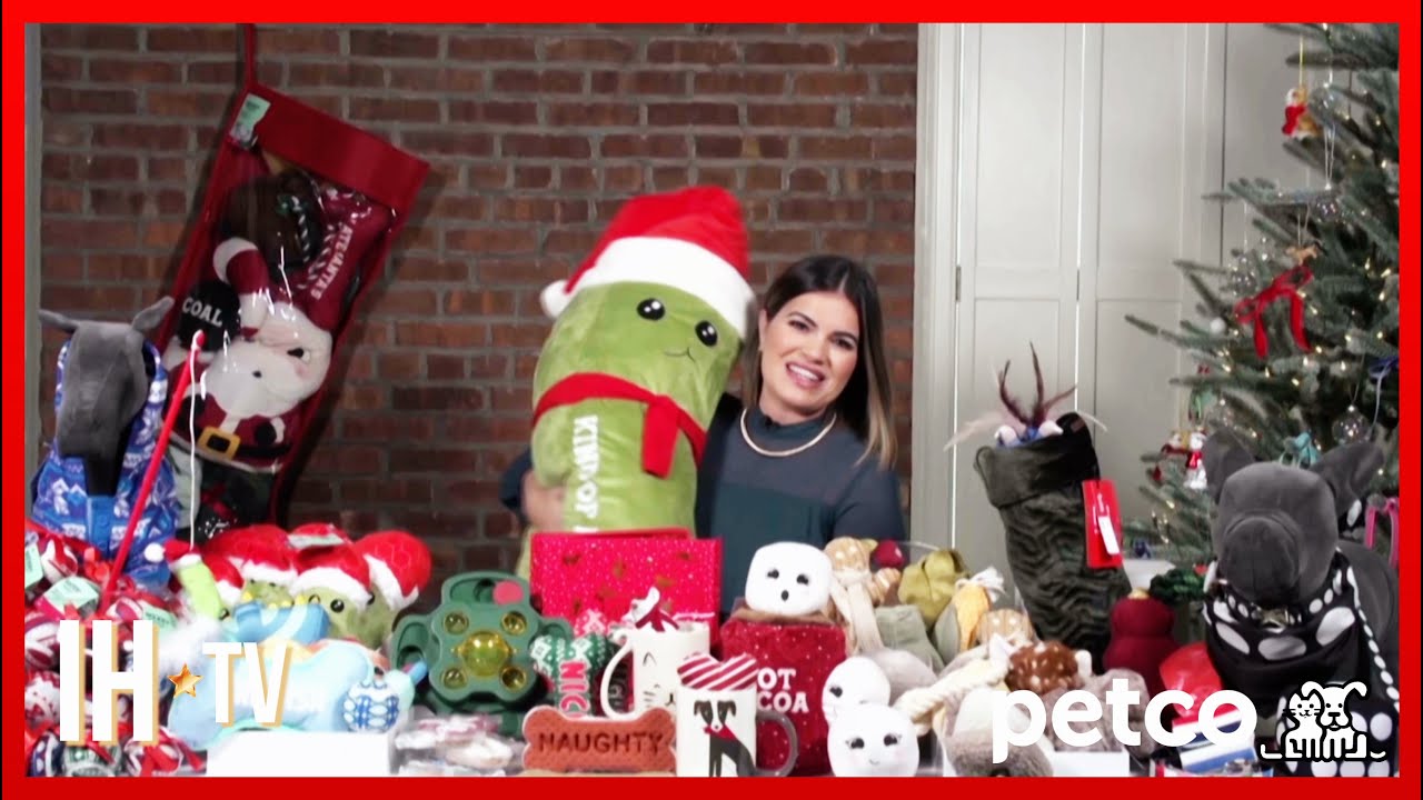 Christmas Gifts Under $10 For Dogs In 2023 at Petco - YouTube