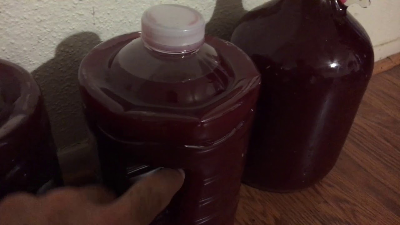 Mustang Grape Wine Racking Step 2 - YouTube