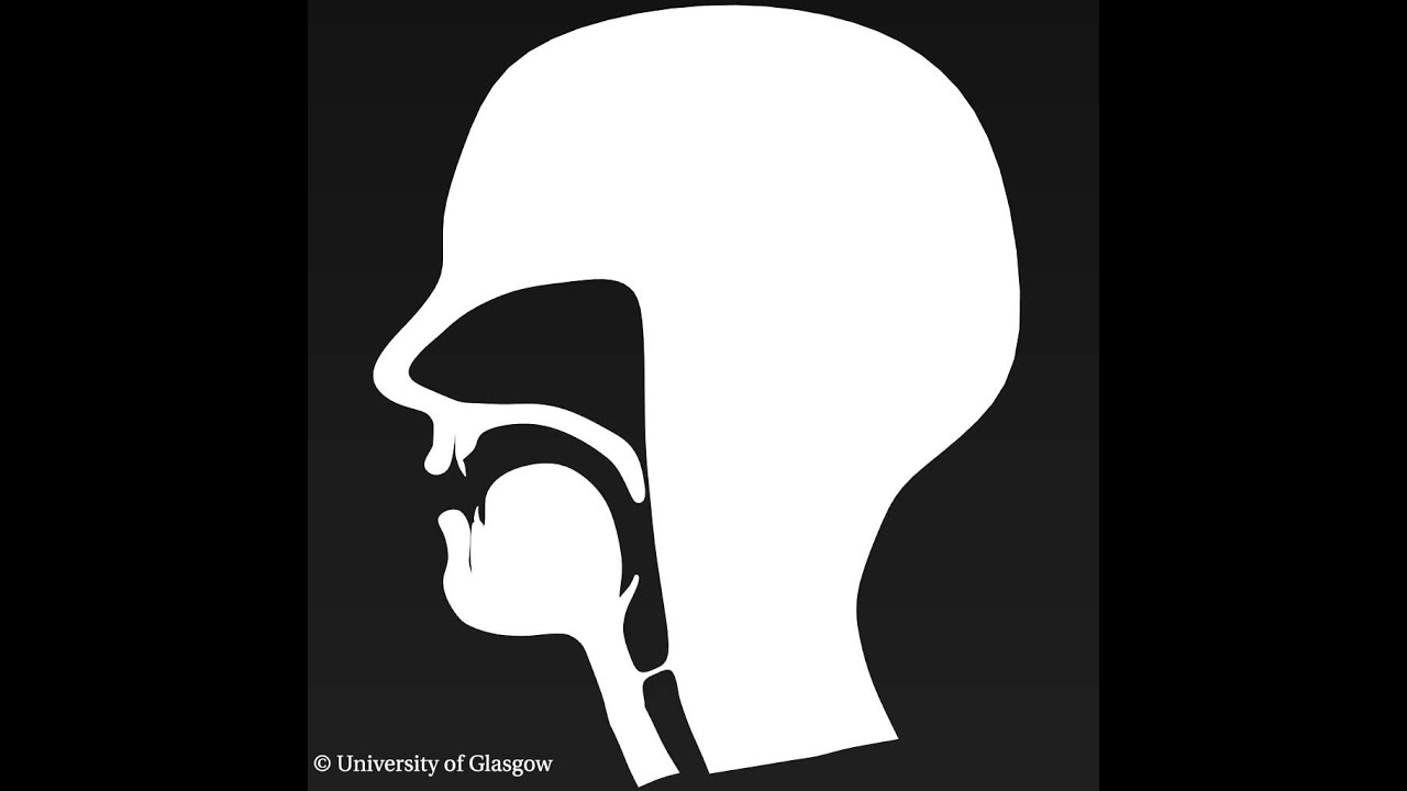 voiced bilabial fricative - YouTube