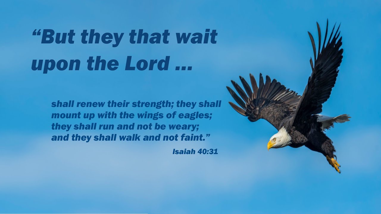 They That Wait on The Lord Shall Renew Their Strength - Sunday Worship ...