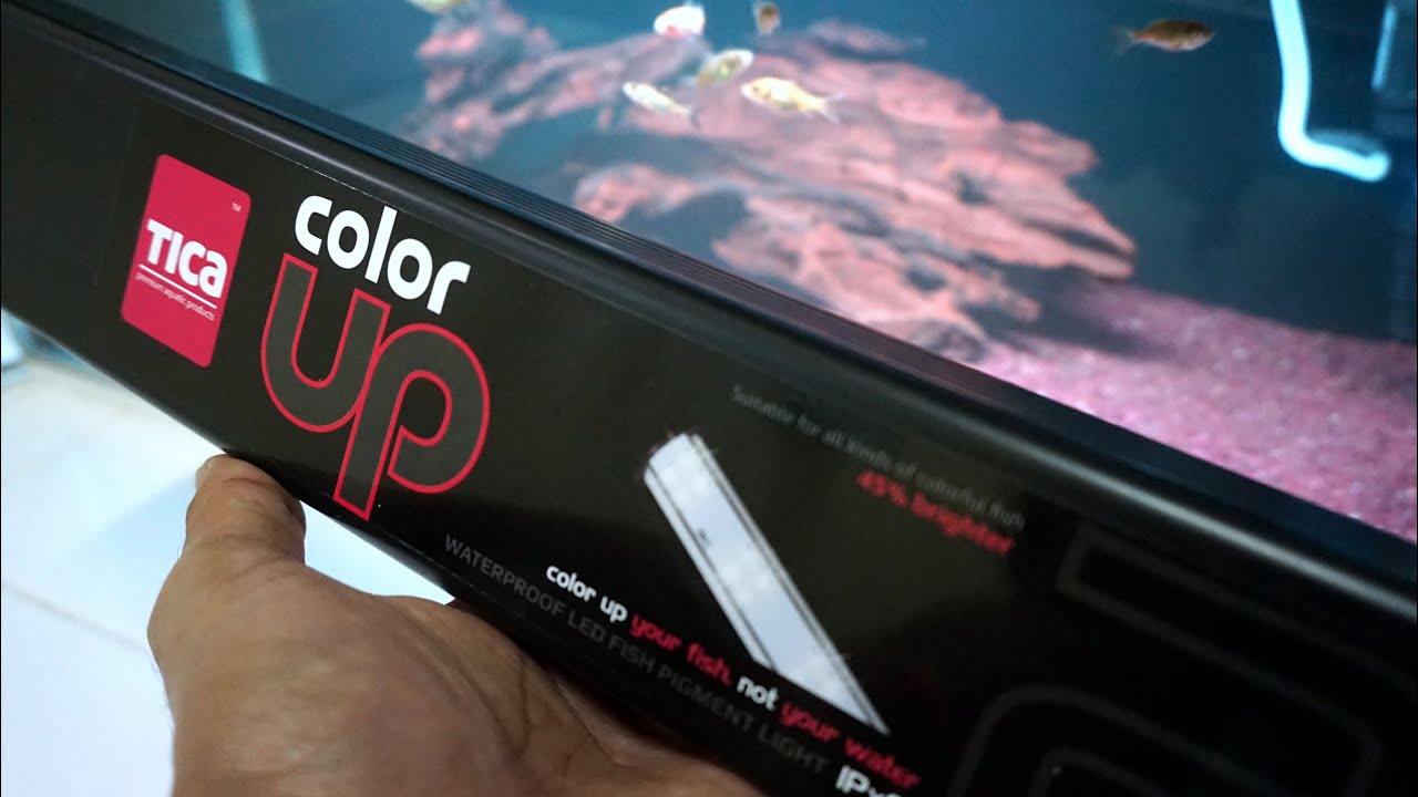 Lighting Aquarium TICA Color 2 Up - YouTube