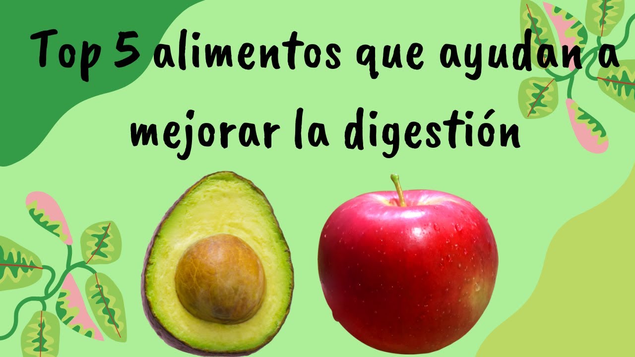 Top 5 alimentos para una mejor digestión: mejora tu salud ...