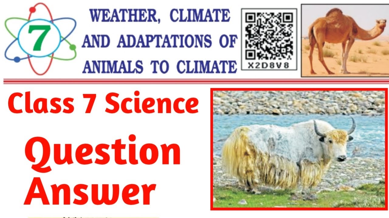 Pseb class 7 Science chapter 7 ll Weather Climate and Adaptation Of ...