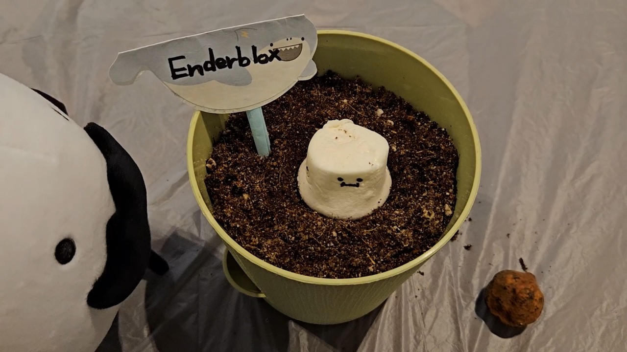 The Detective Egg Official Plushie 8 feat. Planting Seed [Secret ...