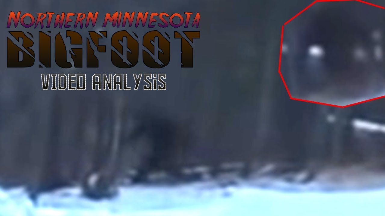 Bigfoot Sighting in Northern Minnesota! - Analysis - YouTube