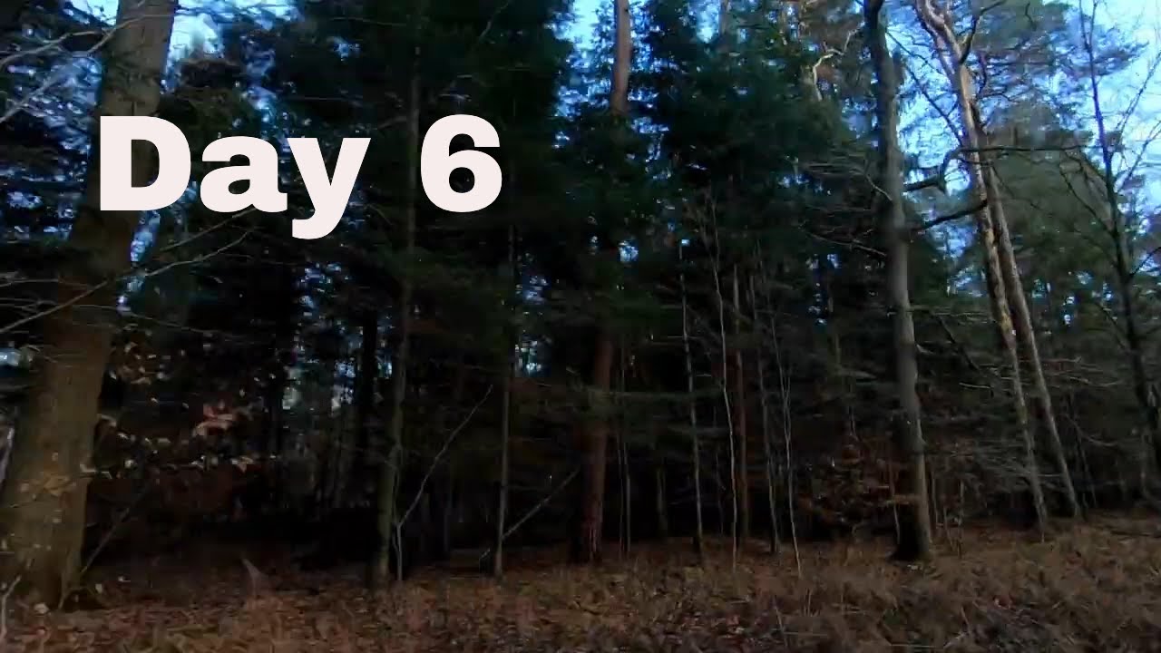 Kids running wild in the forest - YouTube