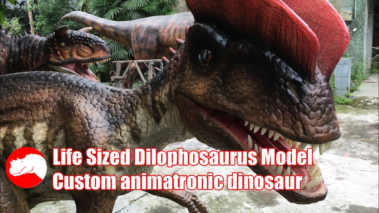 Life Size Dilophosaurus Model / Exhibits - YouTube