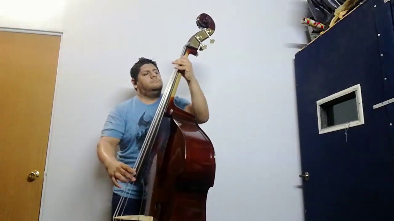 Como un dia de domingo - rondalla sector educativo - Eliud Rdz bass ...