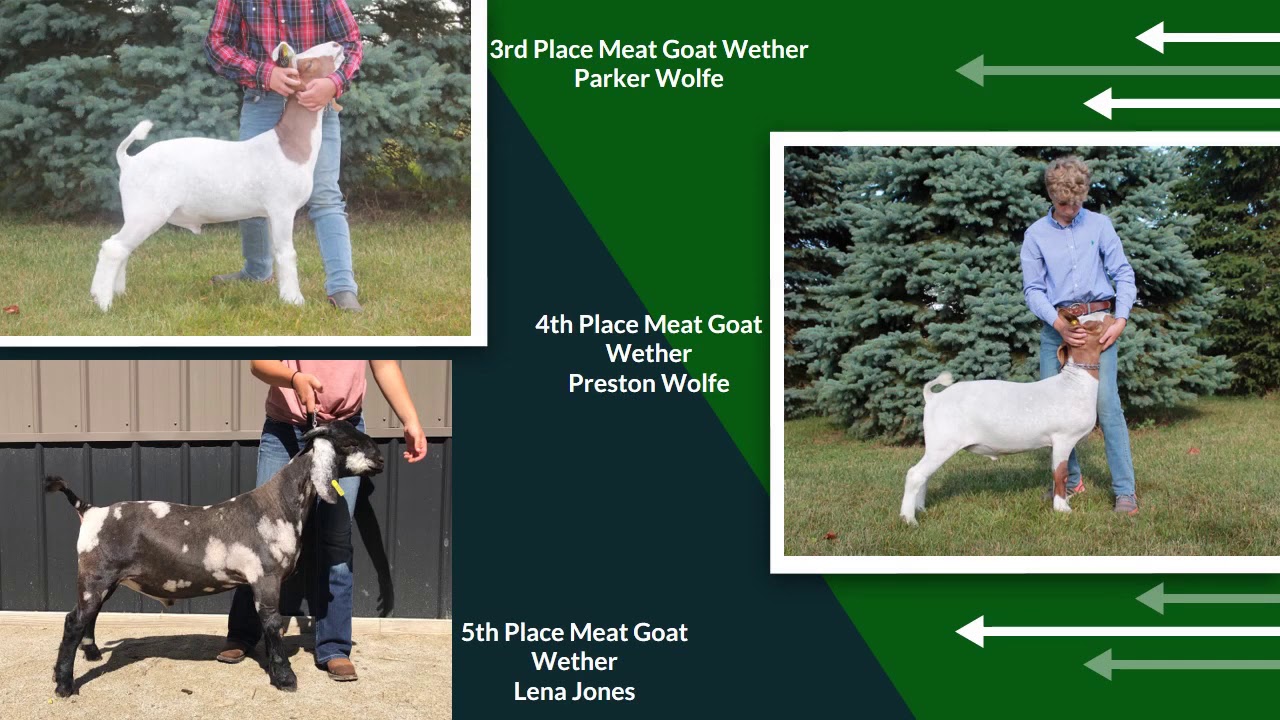 2020 4-H Virtual Goat Showcase - YouTube