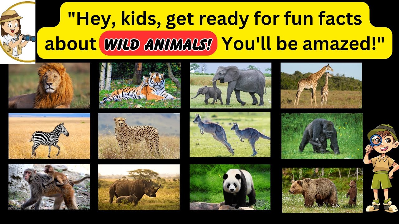 "Wild Animal Wonders: Fascinating Facts for Curious Kids" | part -2 ...