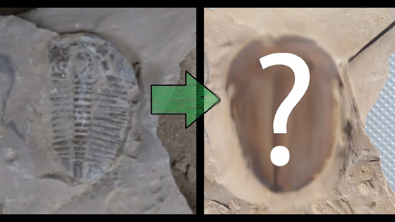 Trilobite Exploration – Utah Cambrian fossil collecting, About 550 ...