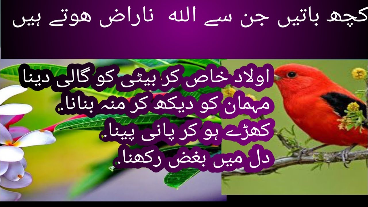 kuch baten jin se Allah naraz hote hen|urdu totkay|golden words|| - YouTube