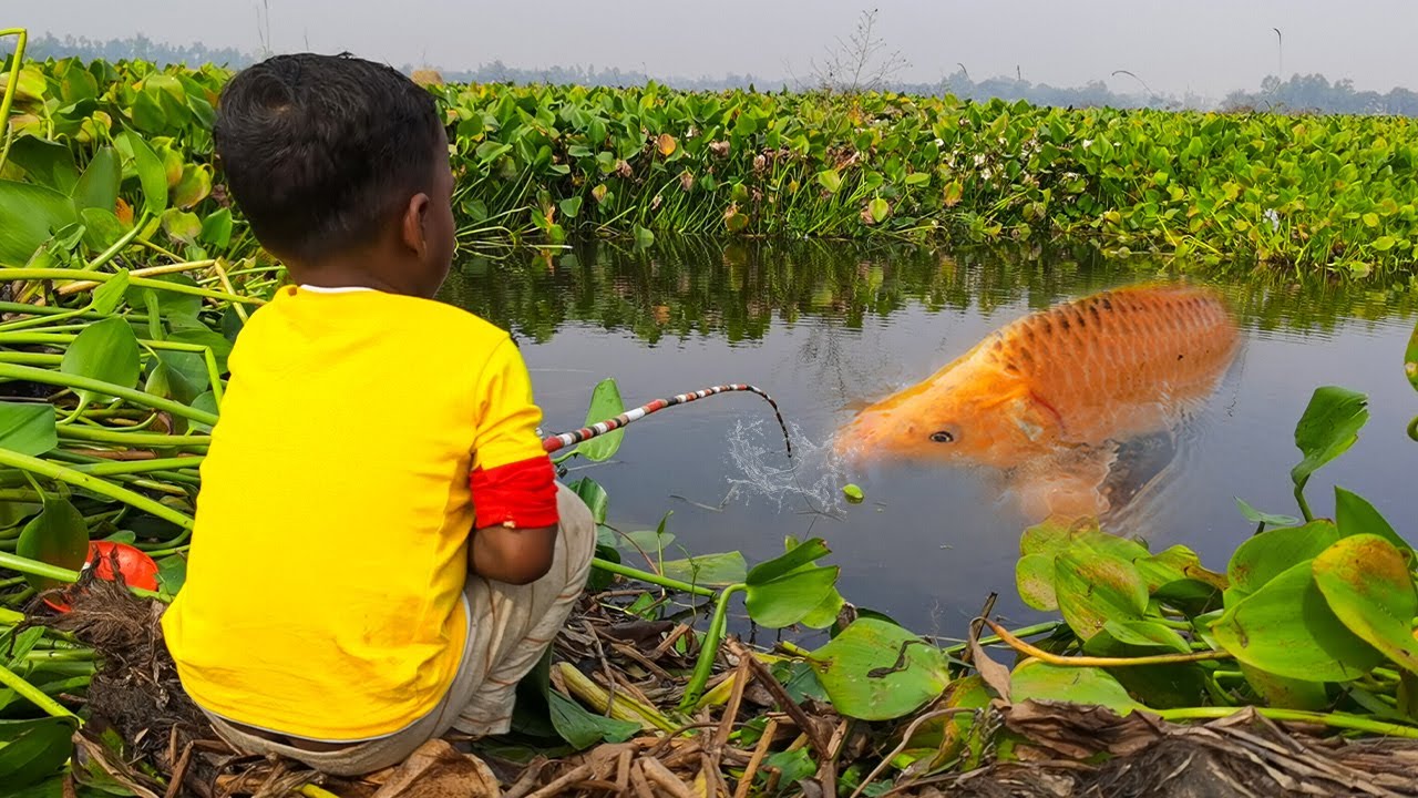 Amazing Unique Hook Fishing From River With Beautiful Nature - YouTube
