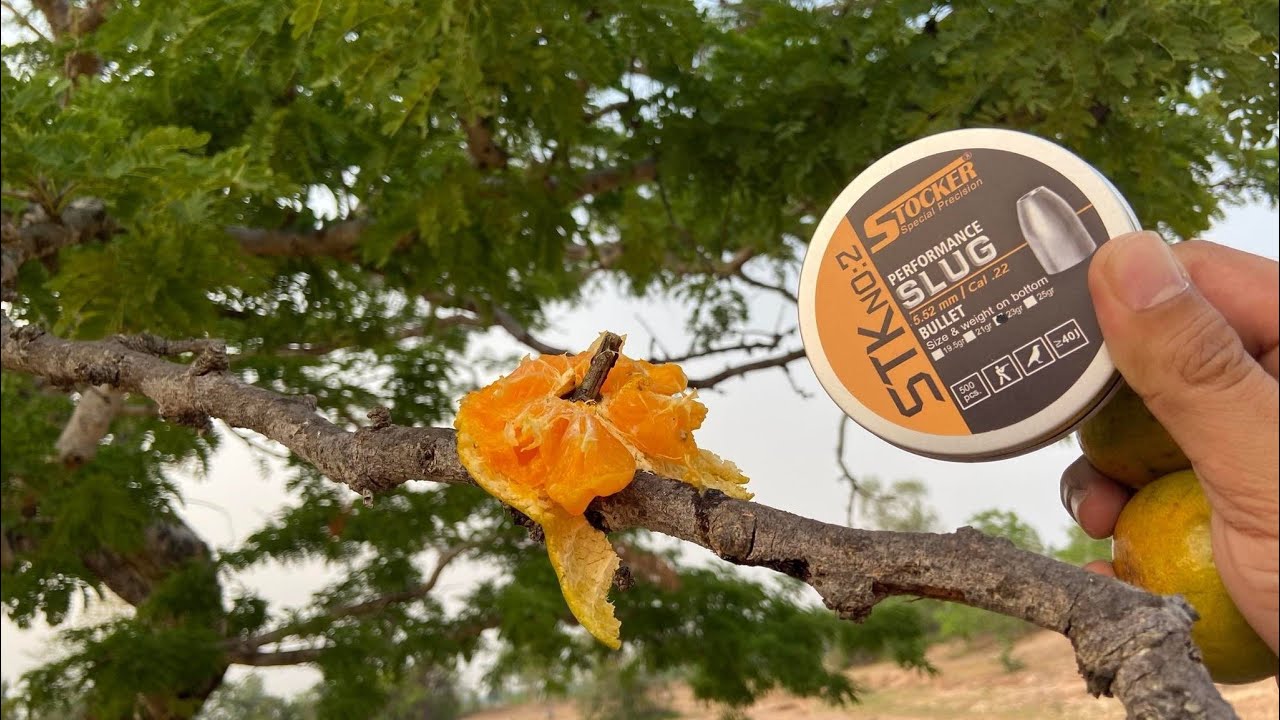 Stocker Slugs 23gr. 947fps Try D.O.P.E. Shot by Fx Impact MkII 700 STX ...