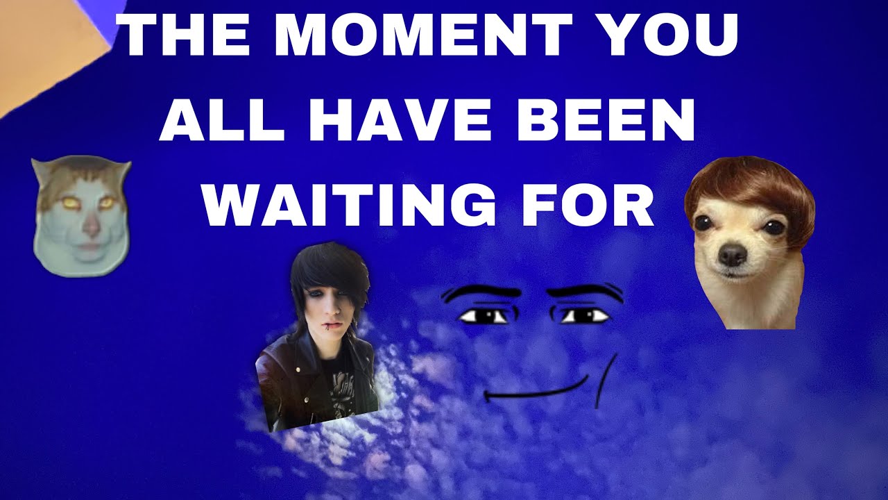 THE MOMENT YOU HAVE ALL BEEN WAITING FOR…… - YouTube