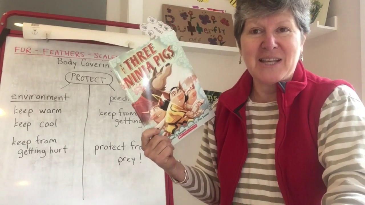 Mrs. Kilmer's Classroom #71"The Three Ninja Pigs" - YouTube