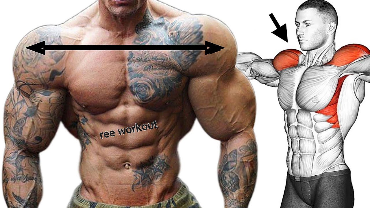 Grow Wide Shoulder with These Perfect Exercises - YouTube