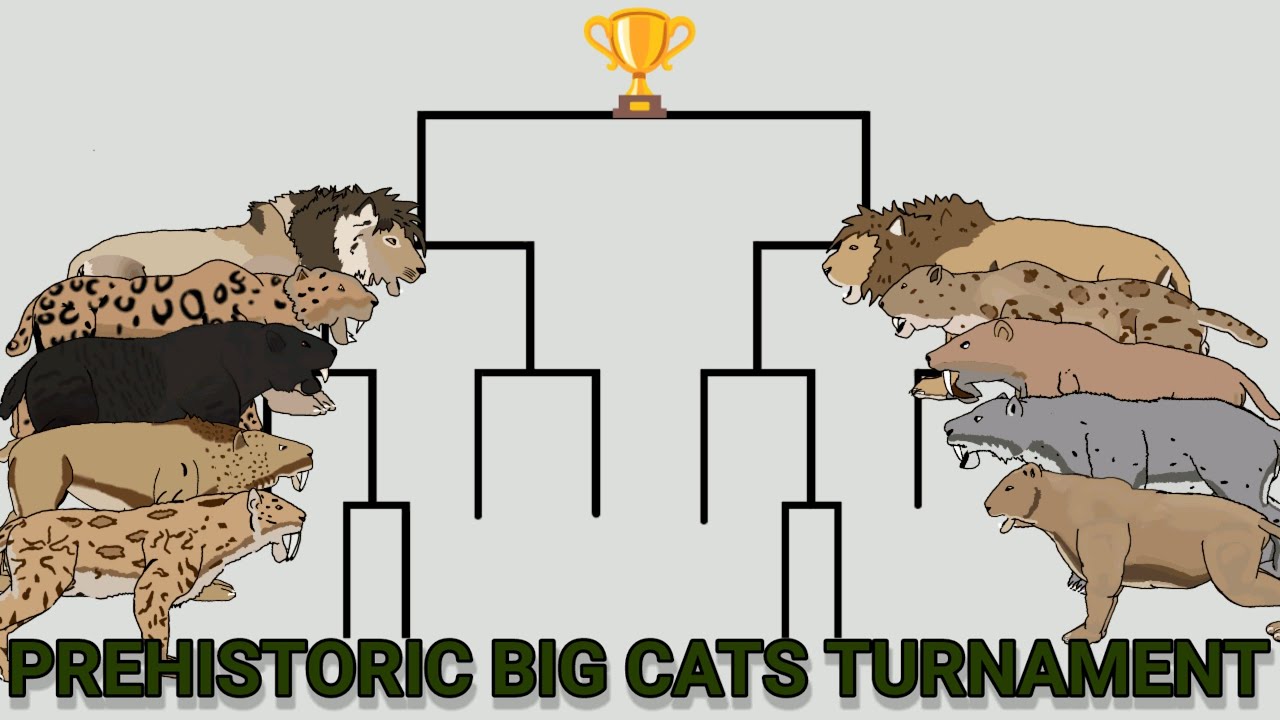 Prehistoric big cats turnament animation—all animation - YouTube