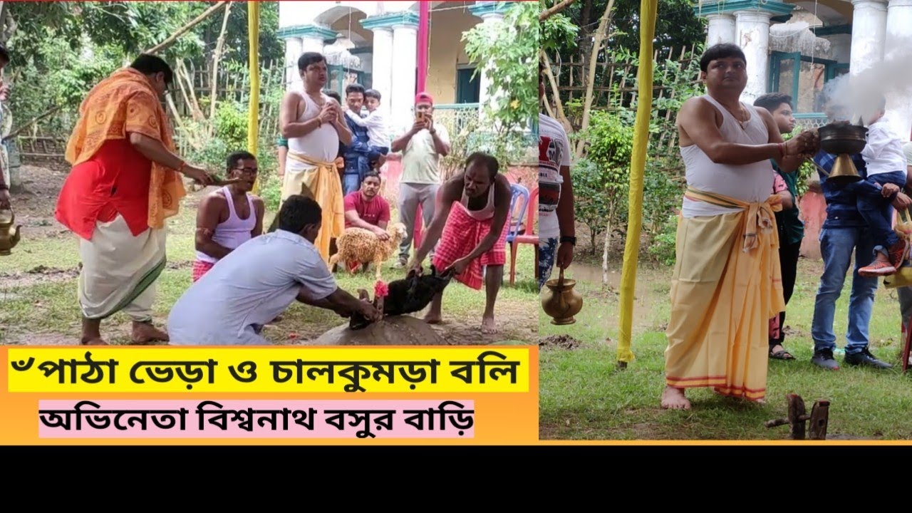 বিশ্বনাথ বসুর বাড়ি ৺পাঠা ভেড়া চালকুমড়া বলি। ও আরুতি। actor biswanath ...