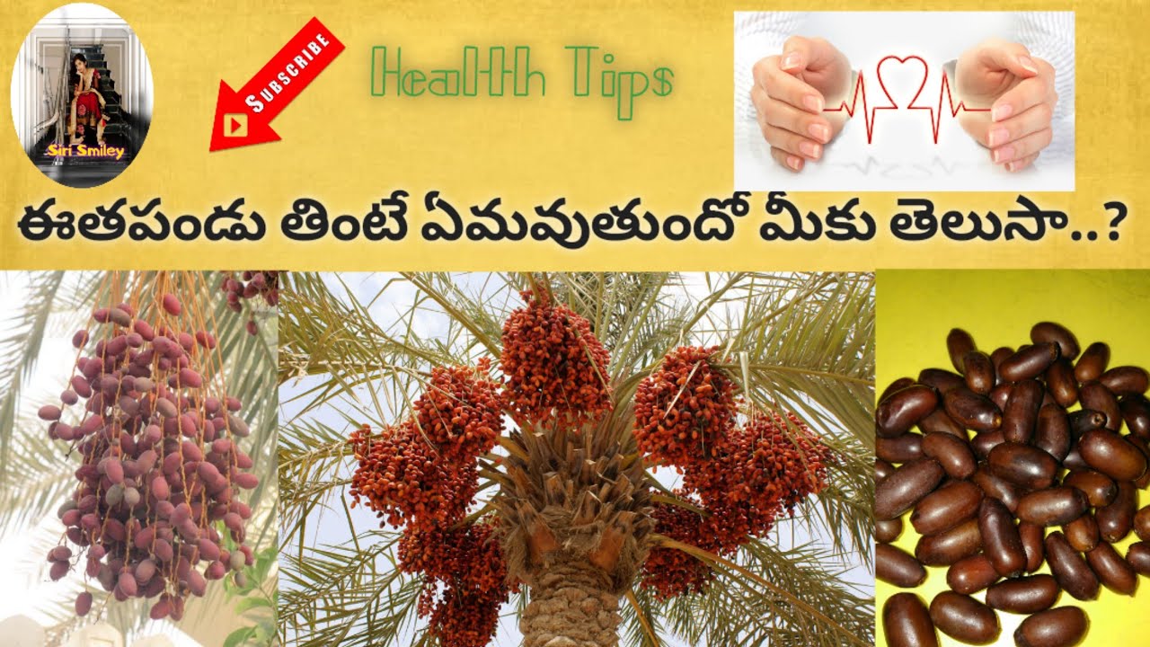 Eeta pandu Best Uses || Health Food || Latest Health News - YouTube