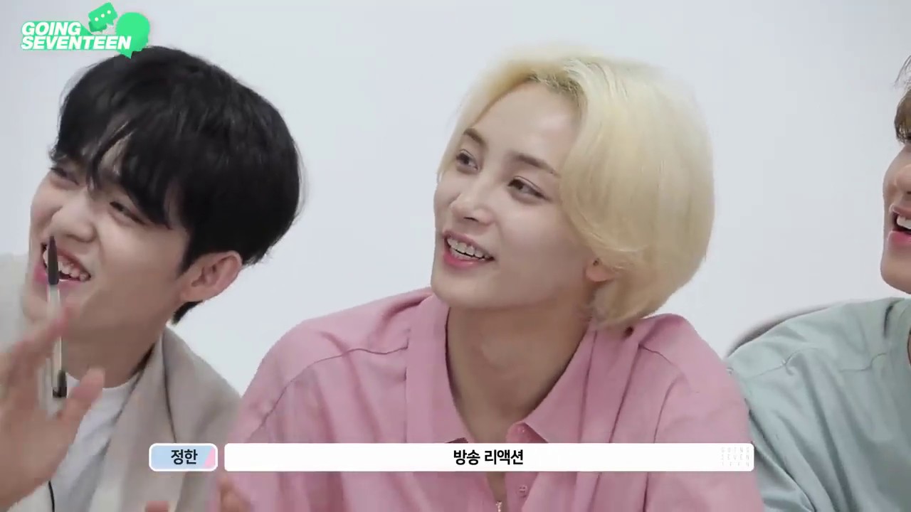 SEVENTEEN GOING SEVENTEEN 2019 EP 15 MBTI of SVT #2 - YouTube