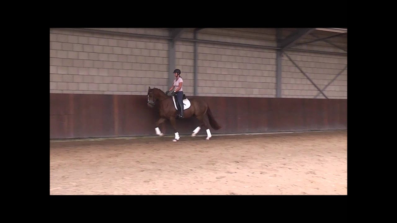 Enzo Video - YouTube