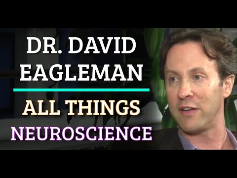 Dr. David Eagleman - All Things Neuroscience - YouTube
