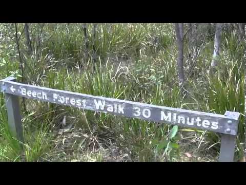 Gloucester River Camping and Walks - YouTube