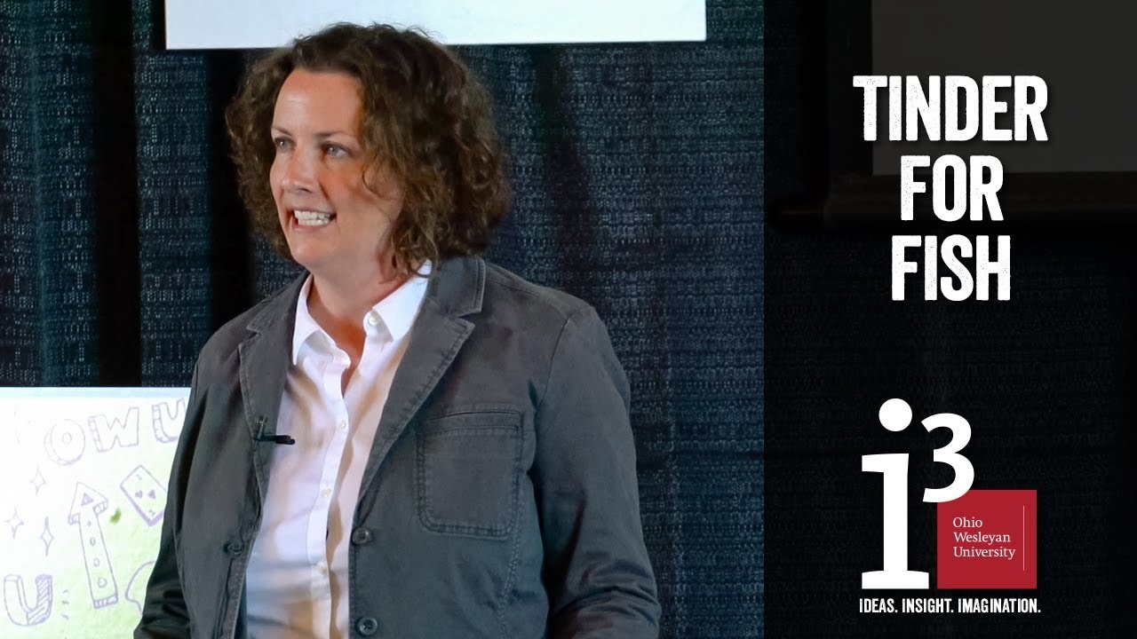 Tinder for Fish: Sexual Selection and Evolution - YouTube