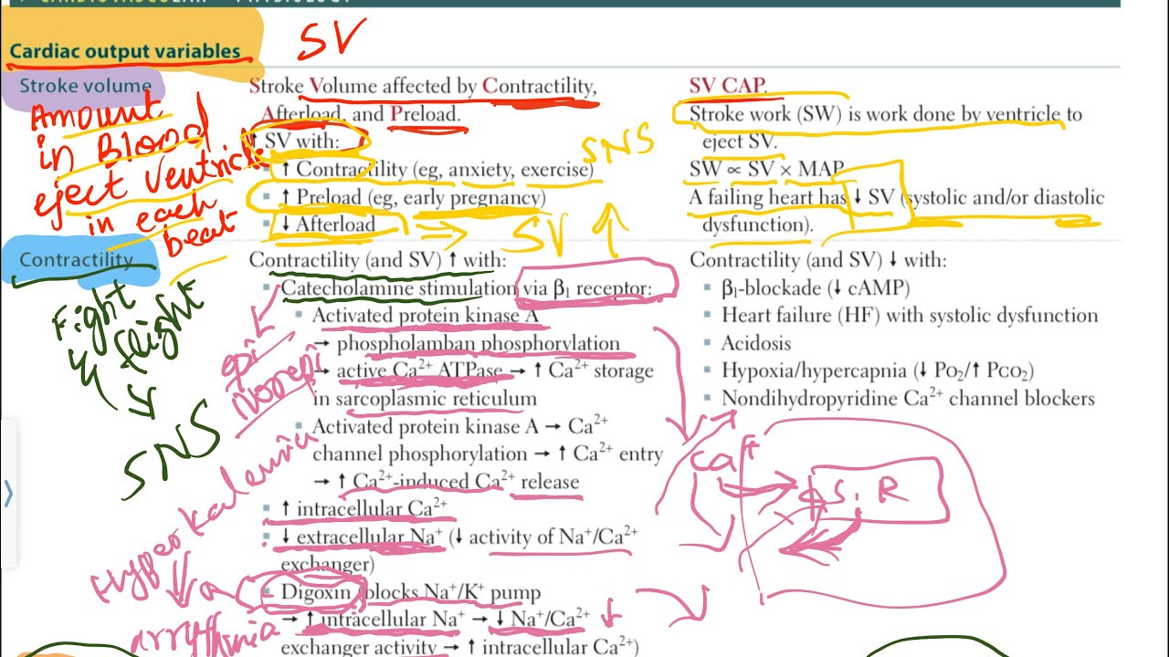 Stroke Volume | Preload and Afterload (Part1) | CVS Physiology Lecture ...