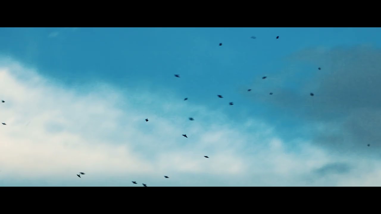 I Wanna Fly Like An Eagle - YouTube
