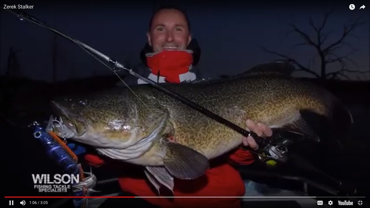 Zerek Stalker Murray Cod surface lure - YouTube
