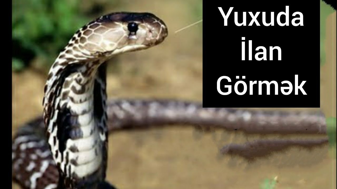 Yuxuda ilan görmek neye yozulur (etraflı) - YouTube