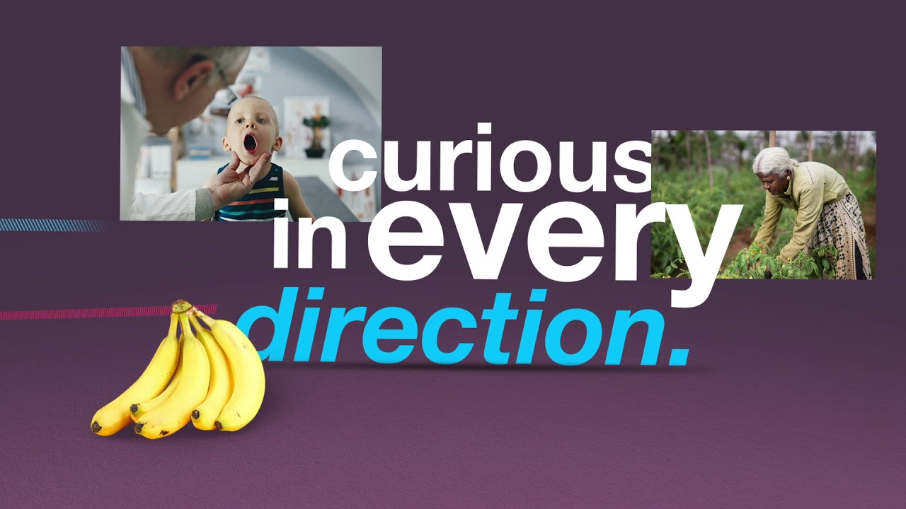 Curious In Every Direction YouTube curious-in-every-direction-youtube